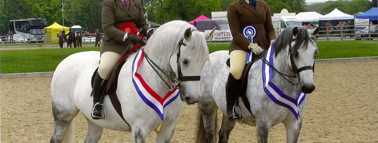 Show News Archives - BSPS Area 2A